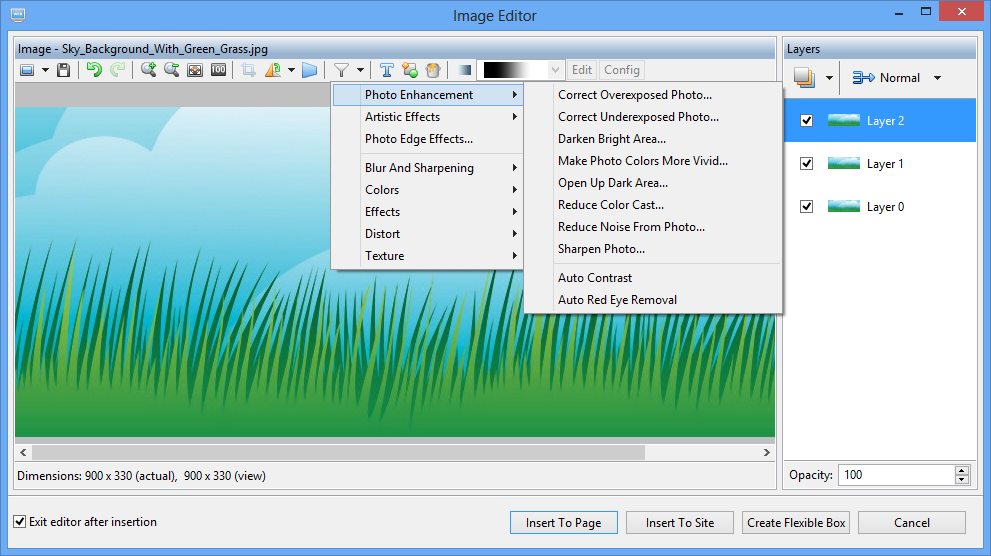 Website Realizer Software Screenshots